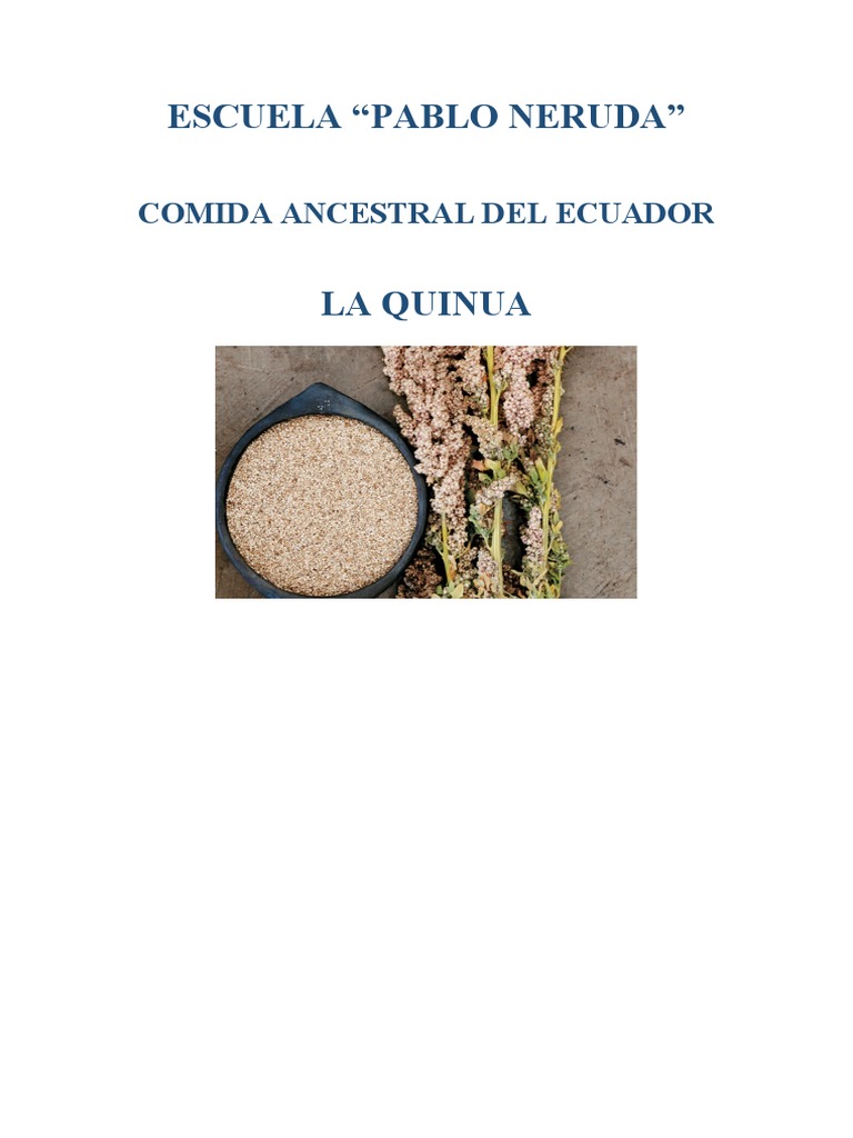 La Quinua | Descargar gratis PDF | Quinua | Cereales