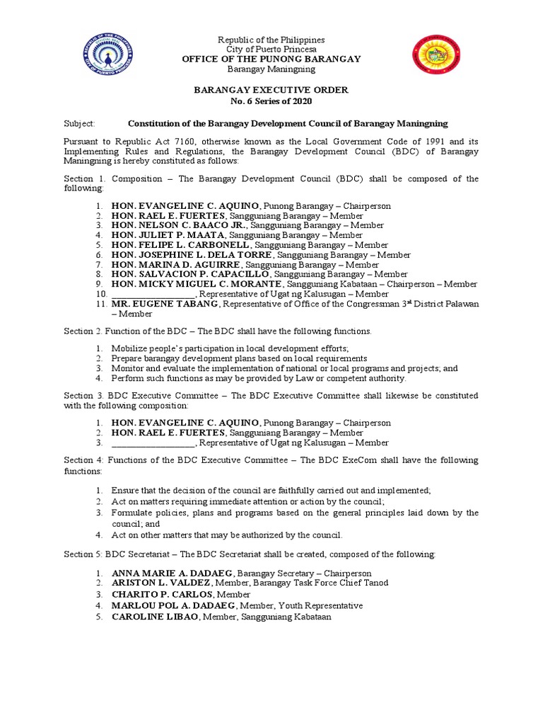 TEMPLATE. BDC Constitution | PDF | Government | Justice