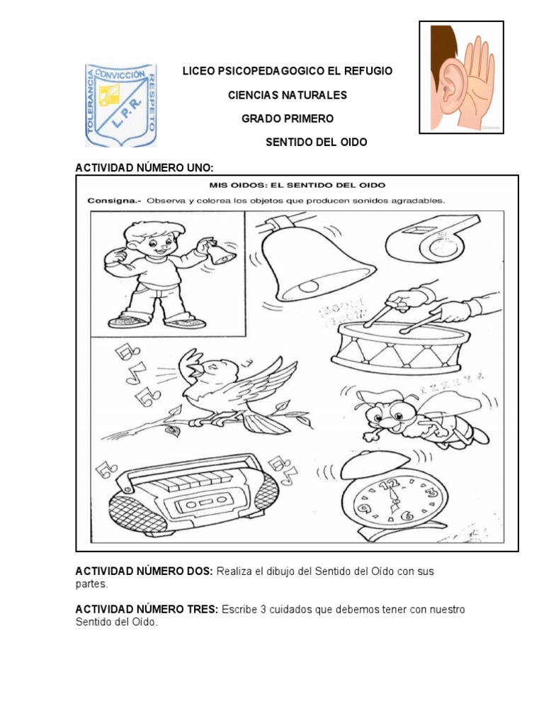 Guia Sentido Del Oido | PDF
