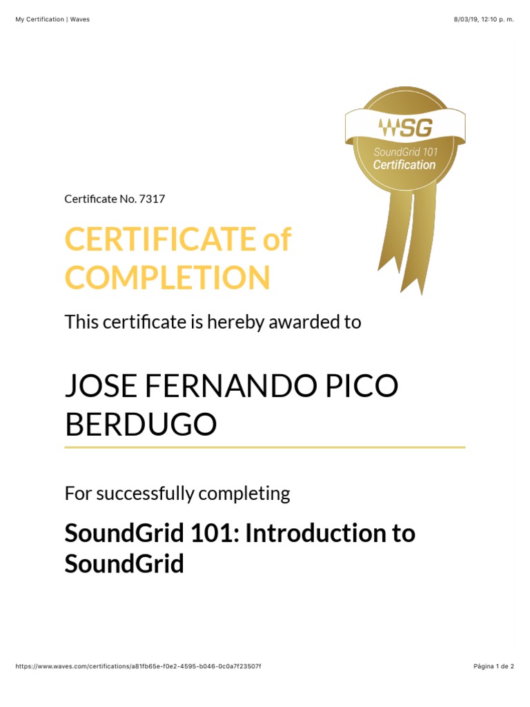 My Certification - Waves | PDF