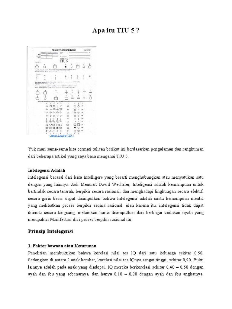 Apa Itu TIU 5 | PDF
