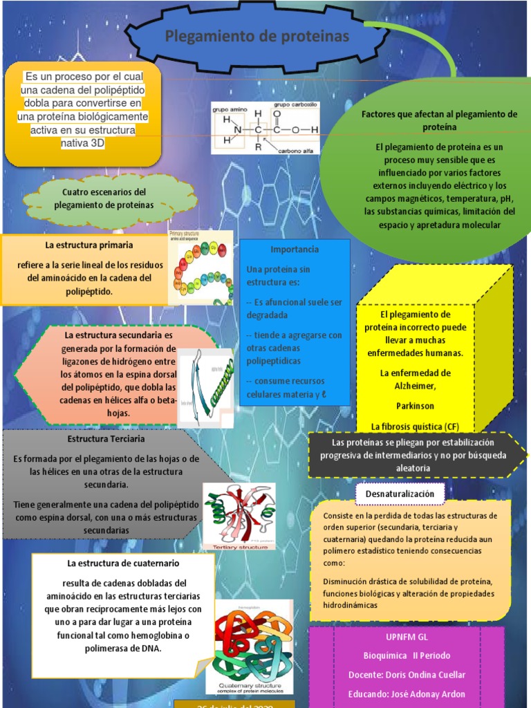 Plegamiento 2 | PDF | Plegamiento de proteínas | Proteínas