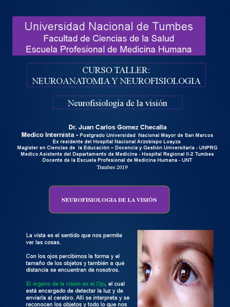 Neurofisiologia de La VISION Ok | PDF | Percepción visual | Ojo humano