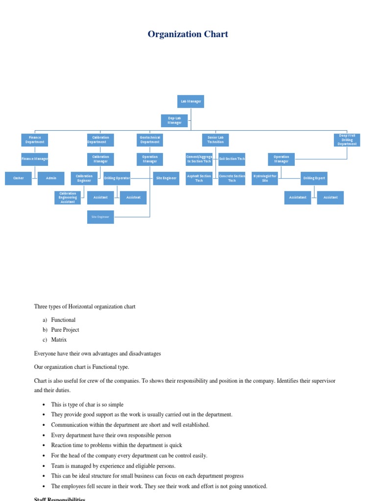 Assignment Organization Chart | PDF | Business | Nature