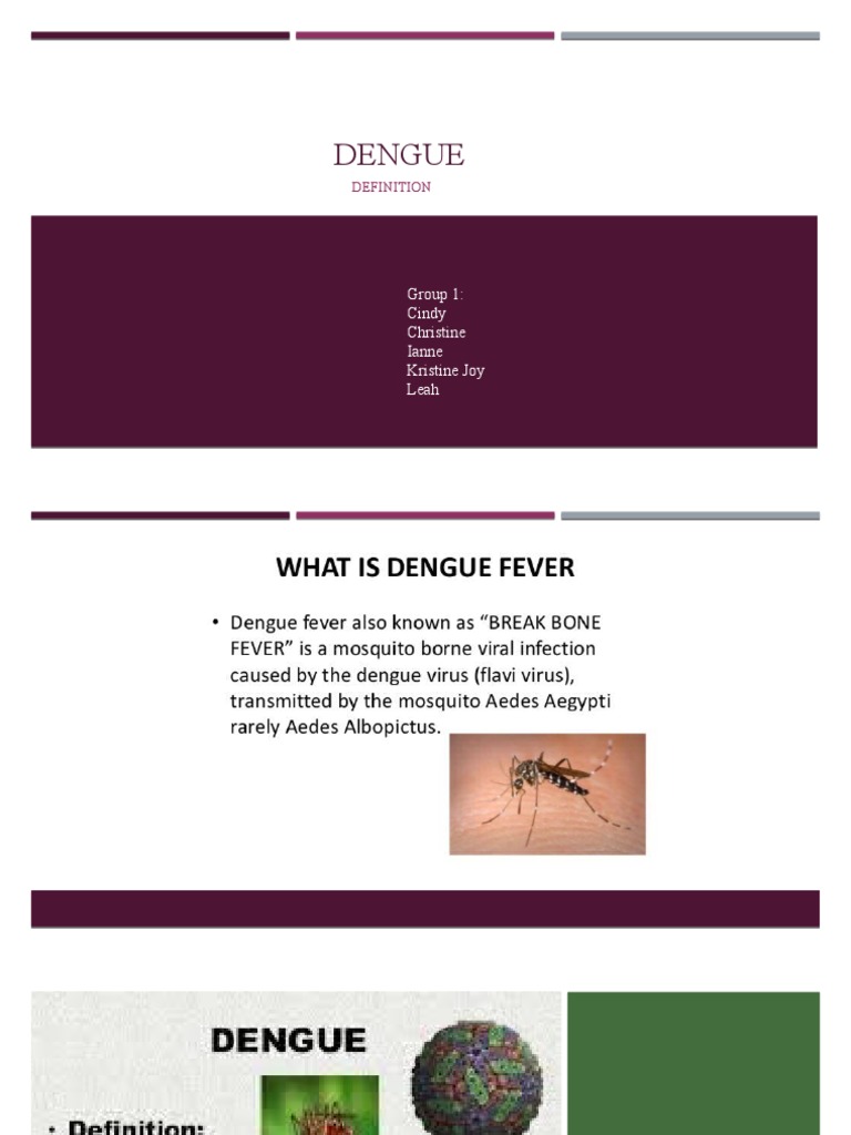 Definition of Dengue | PDF