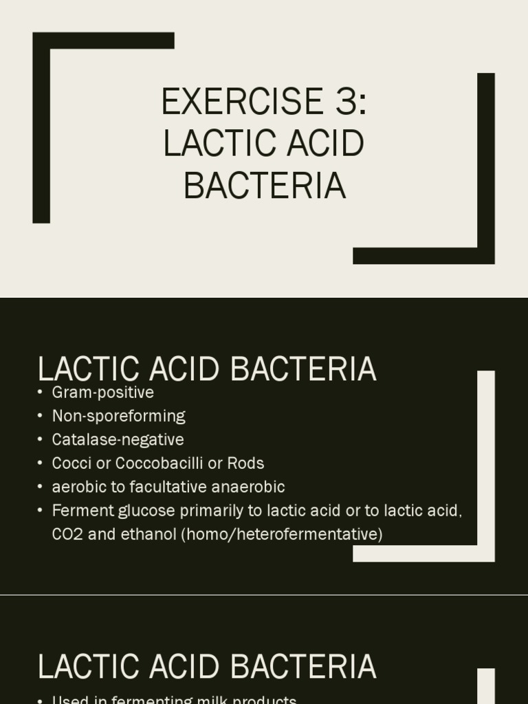 Lactic Acid Bacteria PDF | PDF | Lactic Acid | Staining
