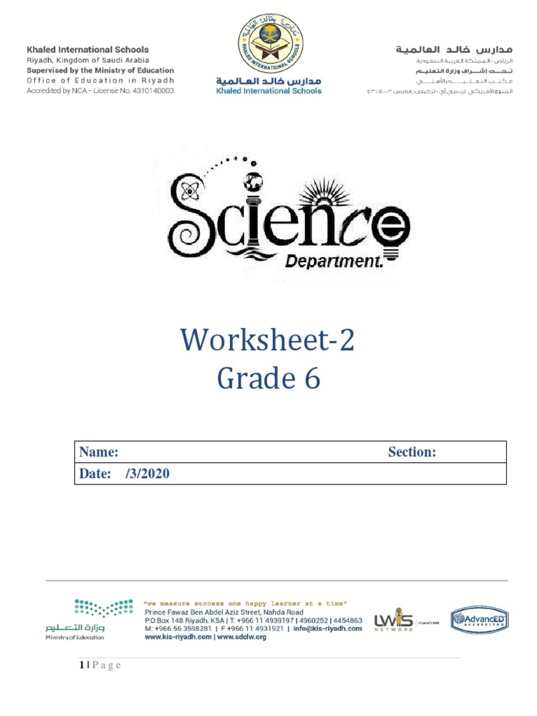 G6 Worksheet T2 (Lesson 4-5) | PDF | Dominance (Genetics) | Zygosity