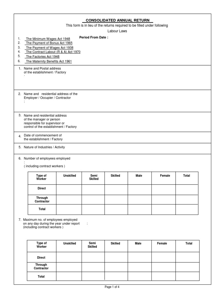Consolidated Annual Return Form Guide | PDF | Employment | Occupational ...