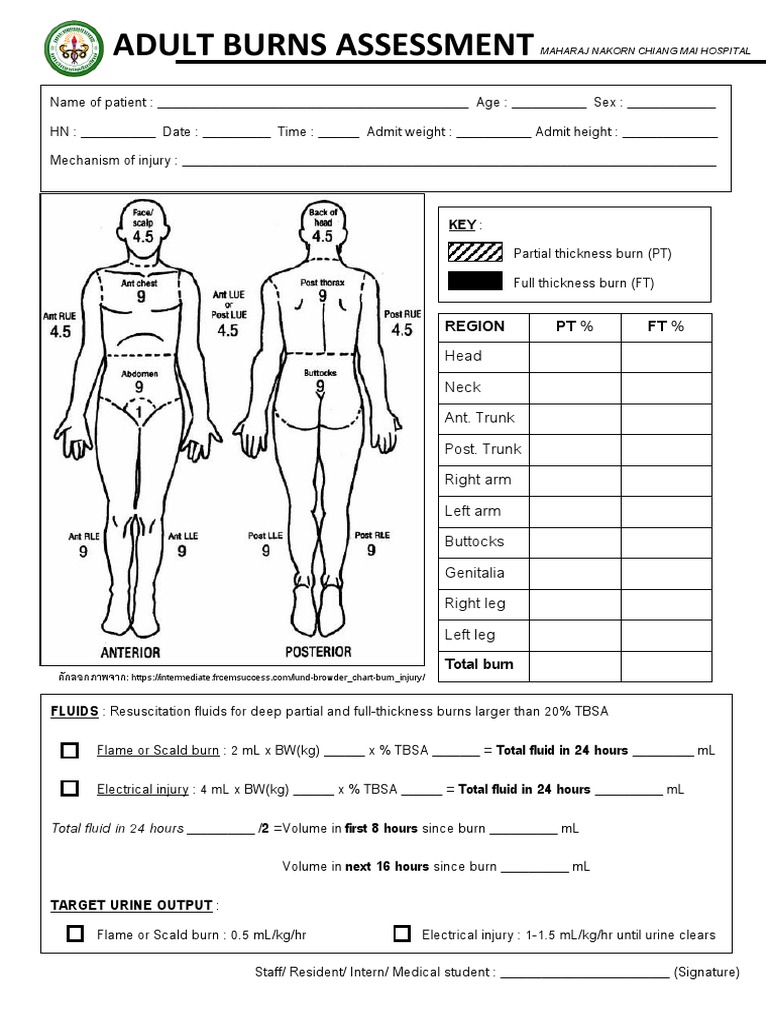 Burn Assessment CMU PDF | PDF | Burn | Health Sciences