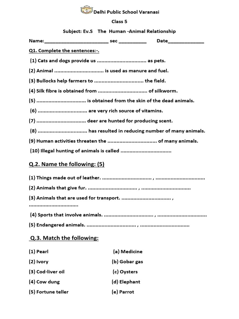 Human-Animal Relationships Worksheet | PDF