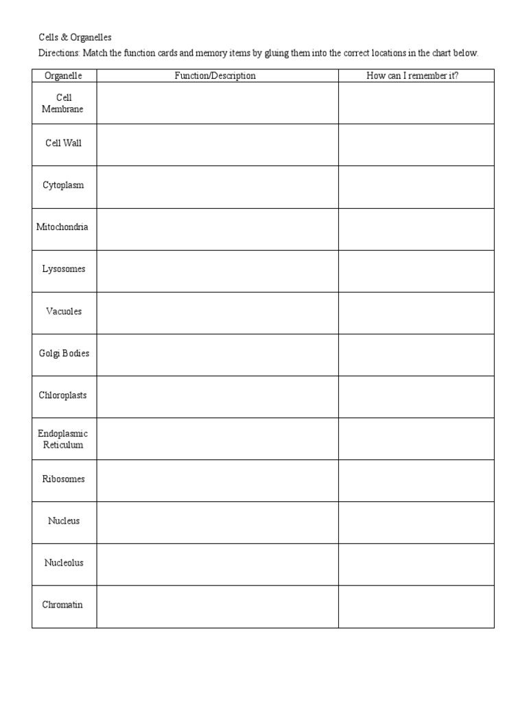 Cell Organelles and Functions Guide | PDF | Endoplasmic Reticulum ...
