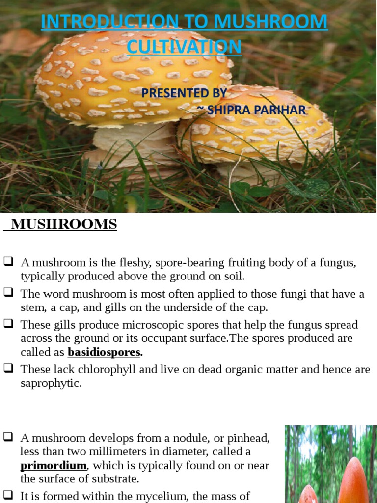 Introduction To Mushroom Cultivation: Presented by Shipra Parihar | PDF ...