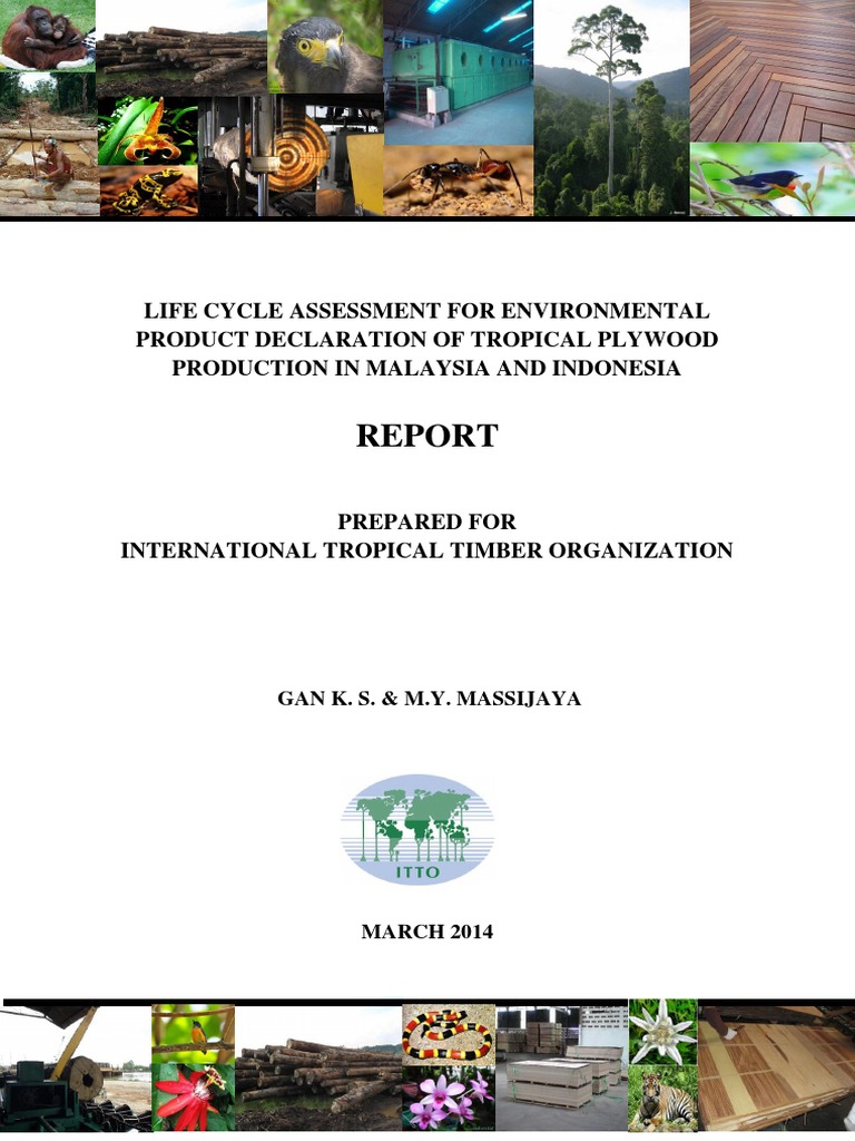 Epd-Lca Meranti Plywood-Final Report | PDF | Life Cycle Assessment ...