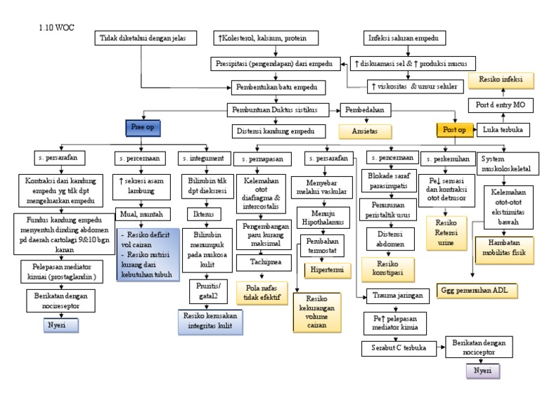 Woc Kolelitiasis | PDF