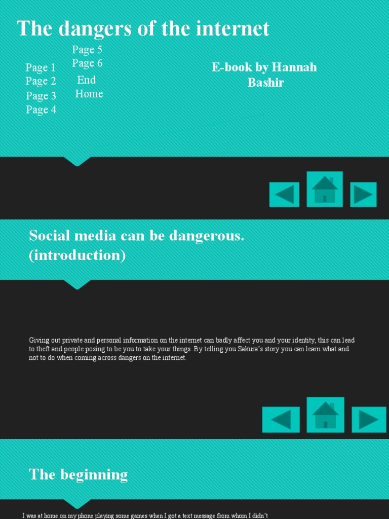 The Dangers of The Internet | PDF