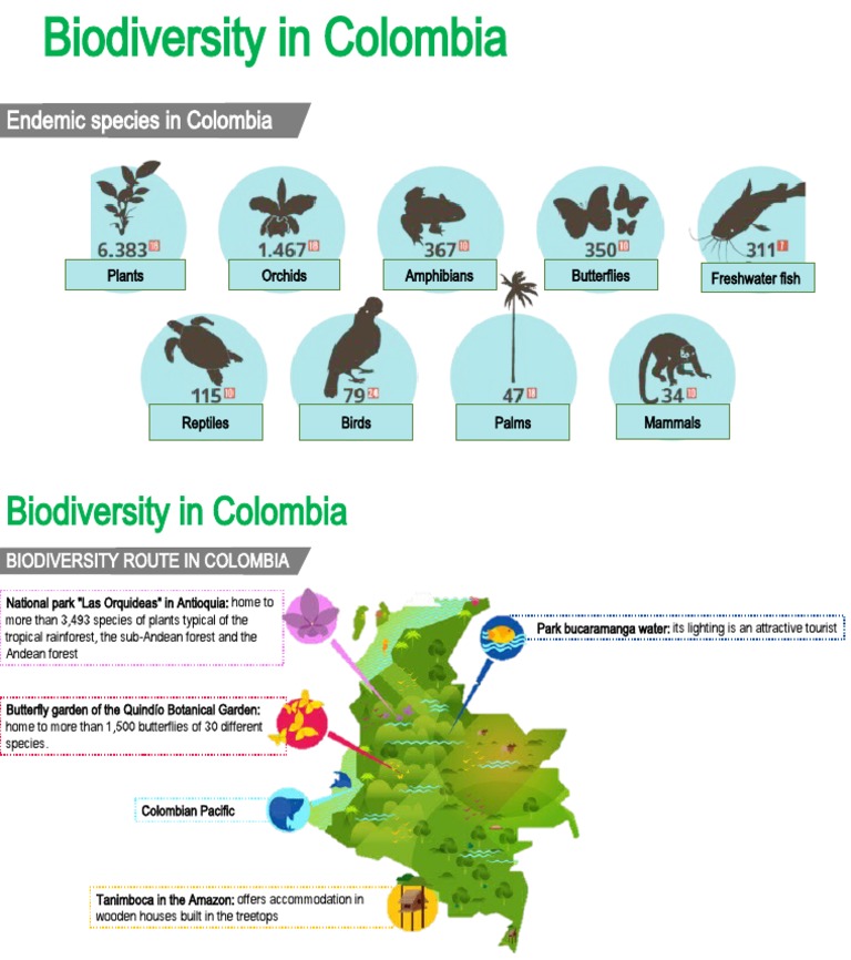 Biodiversity in Colombia | PDF