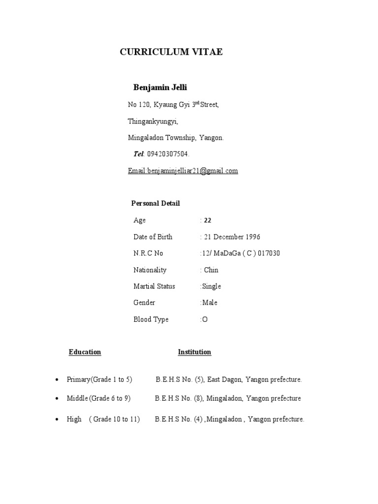 Curriculum Vitae: Benjamin Jelli | PDF | Behavior Modification | Learning