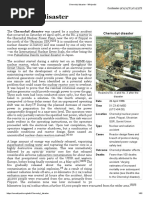 Chernobyl Case Study | PDF | Chernobyl Disaster | Radioactive Contamination