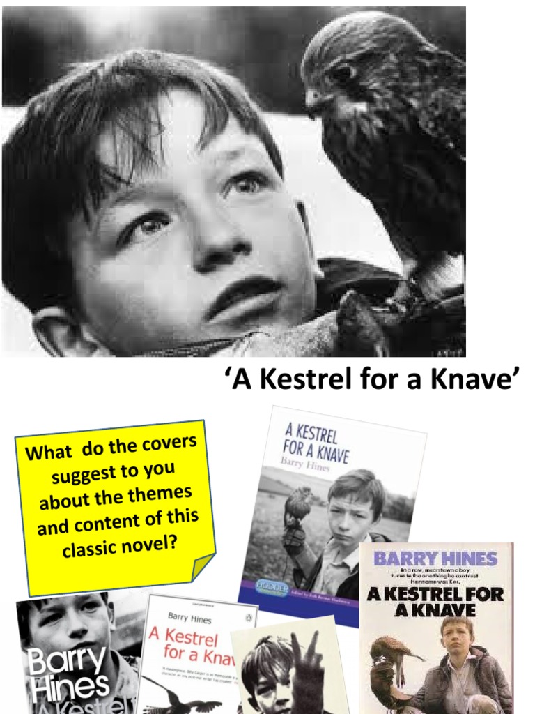 A Kestrel For A Knave' | PDF | Symbols | Communication