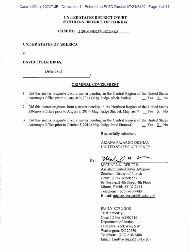 David Tyler Hines: PPP Fraud Case | PDF | Banking | Loans