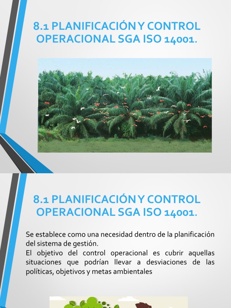 Control Operacional | PDF