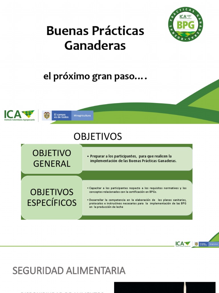 1 BPG Ica PDF | PDF | Seguridad alimenticia | Alimentos