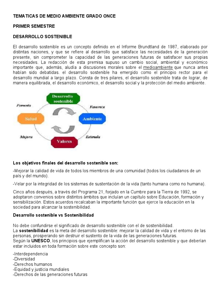 Tematicas de Medio Ambiente Grado Once | PDF | Sustentabilidad ...