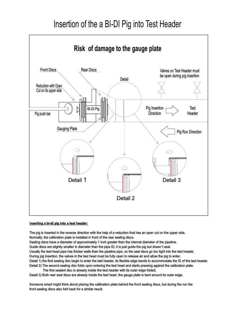 Gauge Pig Insertion - Risk of Damage | PDF