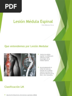 Guía Integral para Lesión Medular | PDF | Lesión de la médula espinal | Dolor