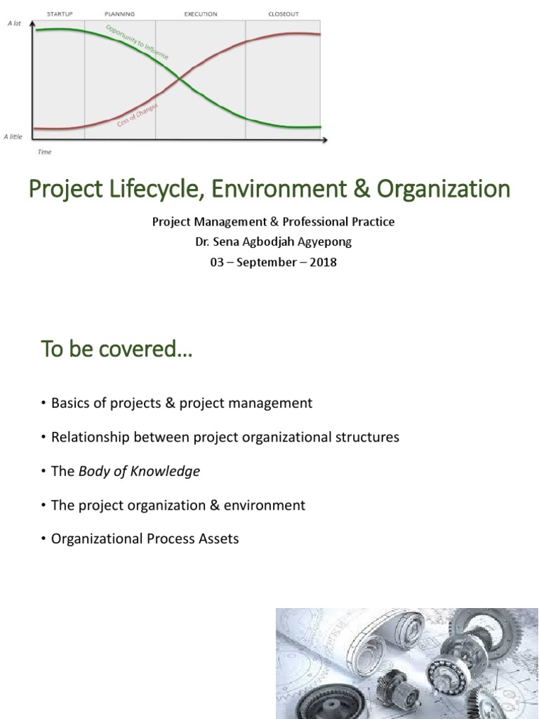 Project Lifecycle, Environment & Organization | PDF | Project ...