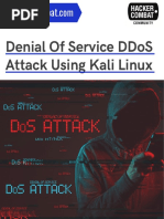 Ddos Script (Python) | PDF | Denial Of Service Attack | Ip Address