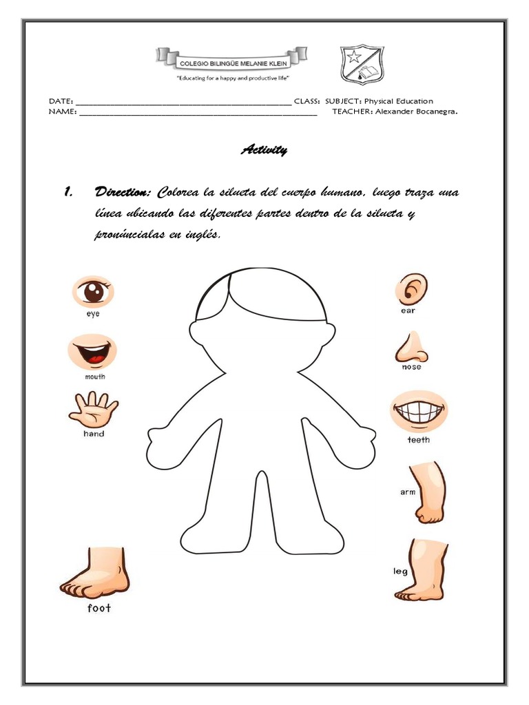 Guía Partes Del Cuerpo | PDF