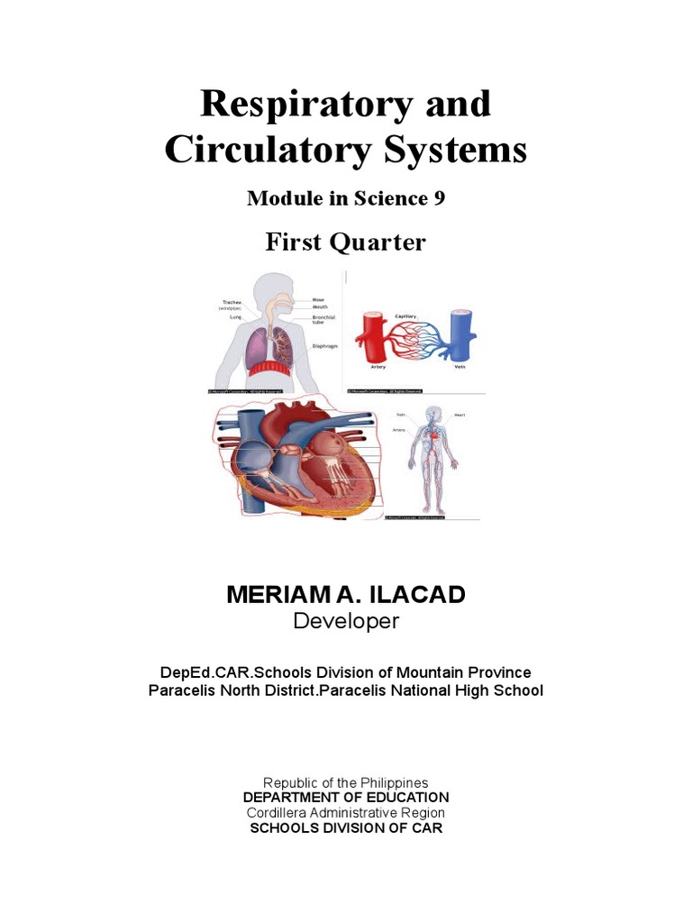 Module On Respiratory and Circulatory System | PDF | Respiratory System ...