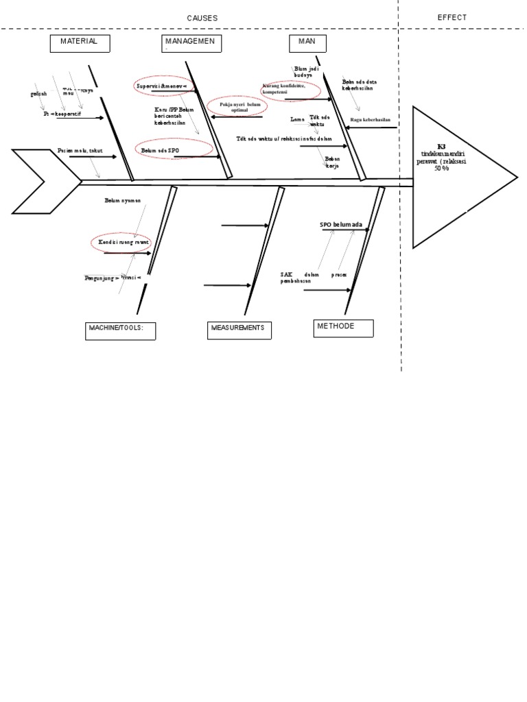 Contoh Fish Bone Audit Nyeri | PDF
