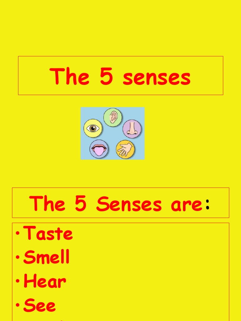 5 Senses Fun Activities Games - 10253 | PDF | Self-Improvement