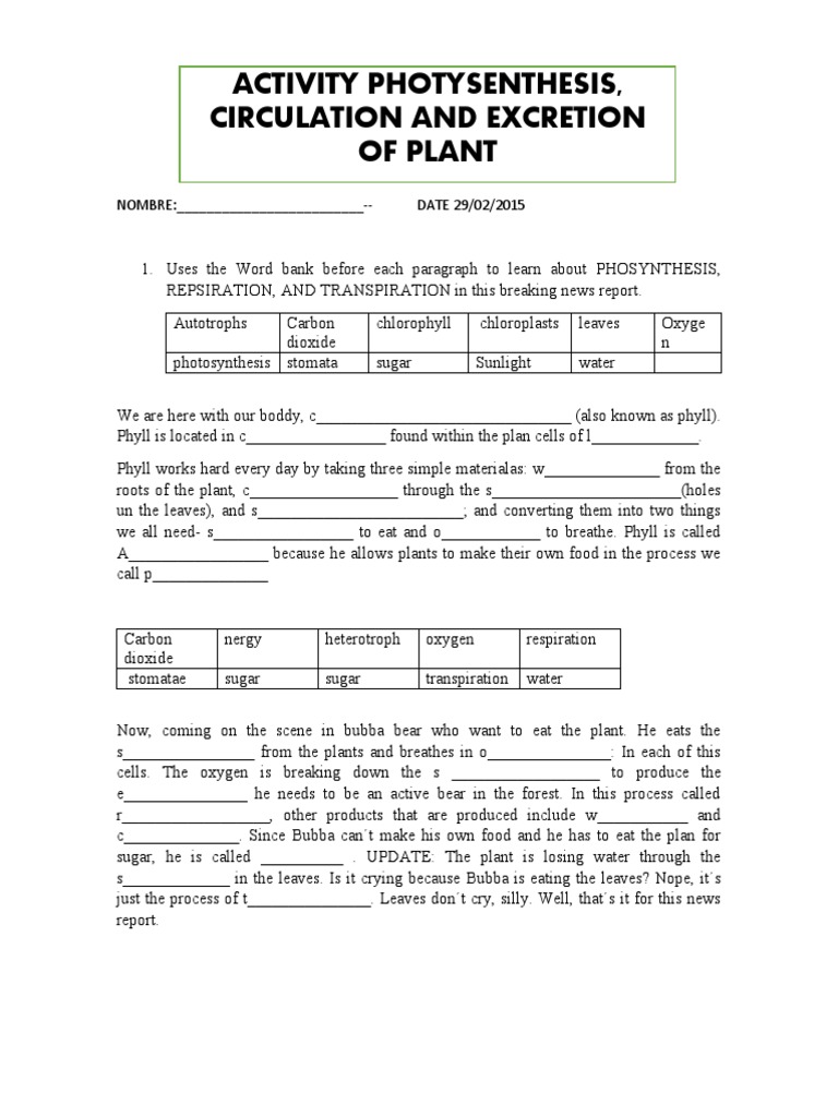 Plant Processes for Young Learners | PDF | Photosynthesis | Plants