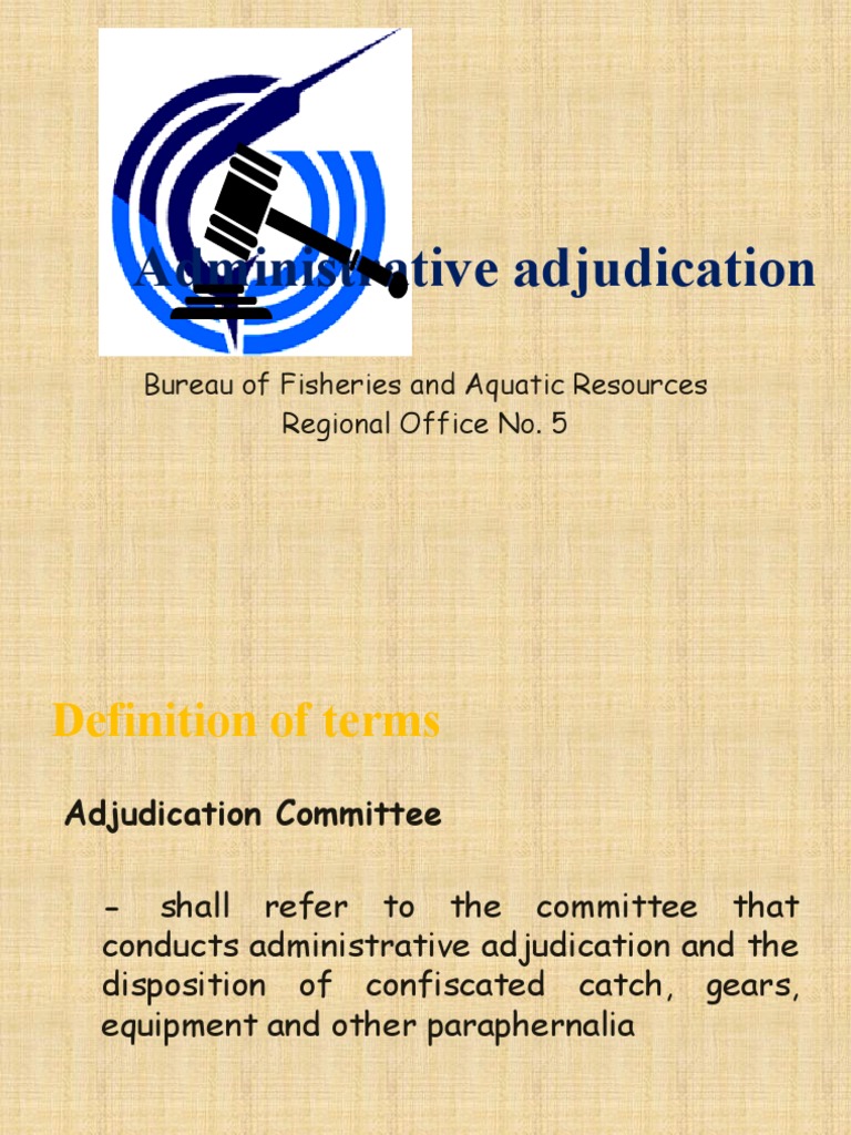 Administrative Adjudication Process Overview | PDF | Pleading | Common Law