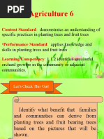 Module 4 Preparing Layout Design For Orchard | PDF | Rectangle | Orchard