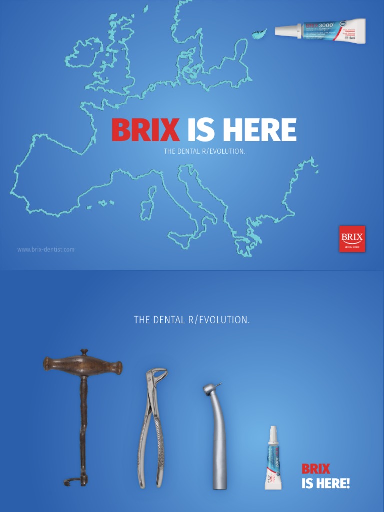Brix3000 Brochure 2020pl | PDF