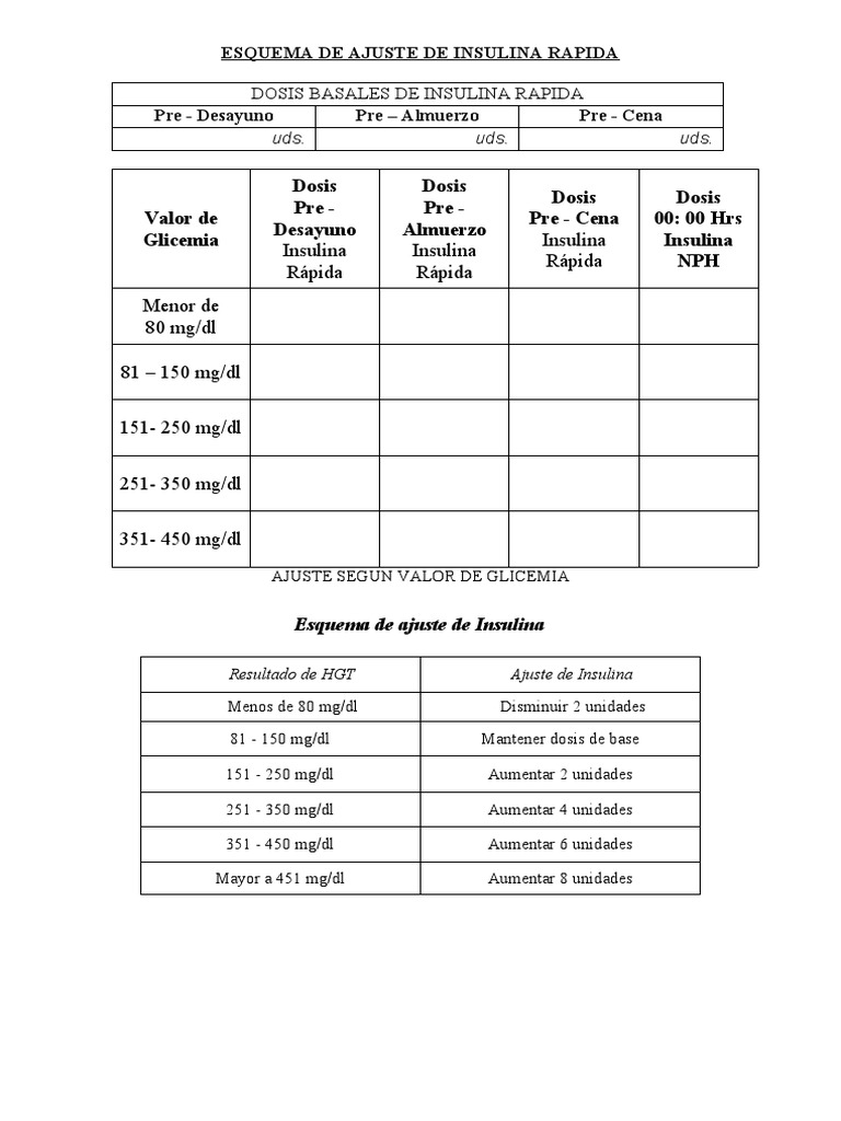 Esquema de Ajuste Insulina Rápida | PDF