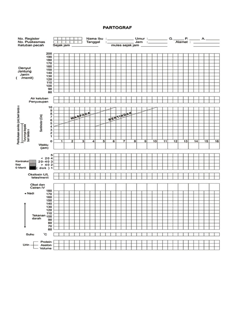 Format Partograf Kosong Data Baru | PDF