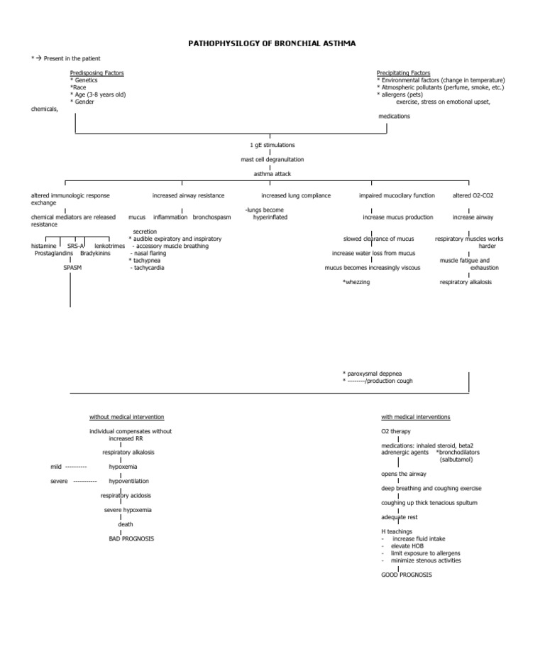 Pathophysiology of Bronchial Asthma | PDF | Asthma | Respiratory Tract