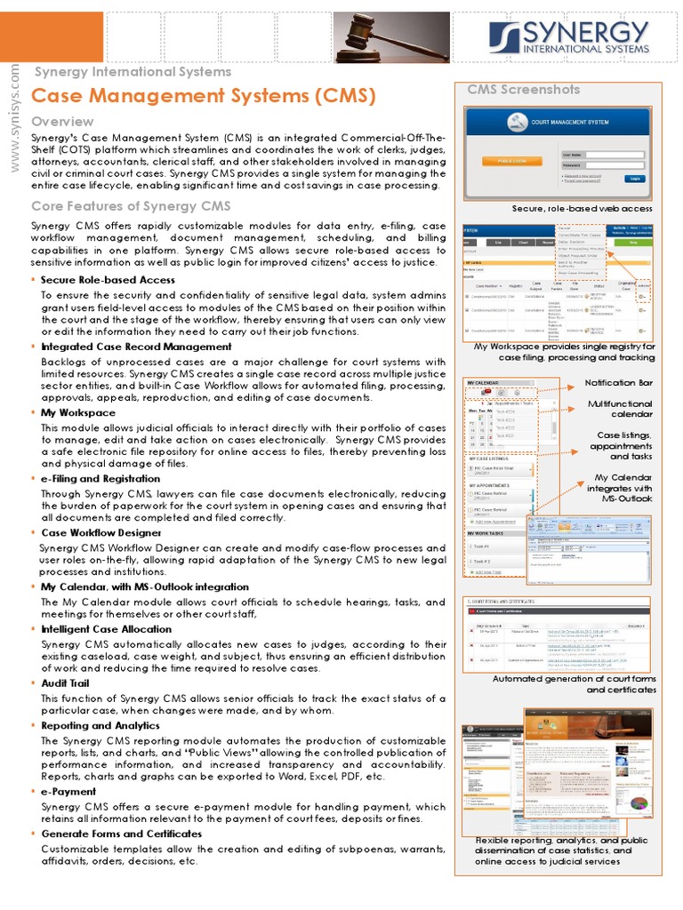 Synergy Case-Management-System | PDF | Information Technology | Business