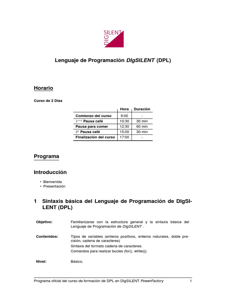 Programa - Lenguaje de Programación DIgSILENT (DPL) | PDF | Lenguaje de programación ...