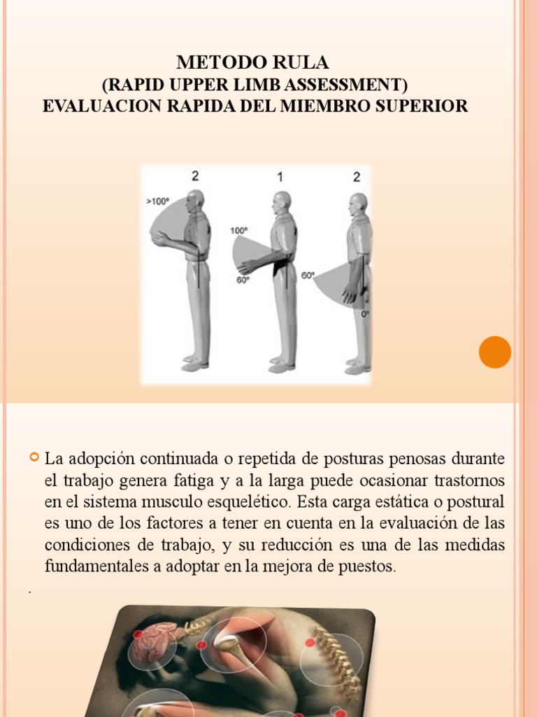 Clase 9 Metodo Rula | PDF | Músculo | Fuerza