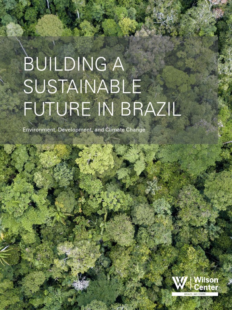 Building A Sustainable Future in Brazil: Environment, Development, and ...