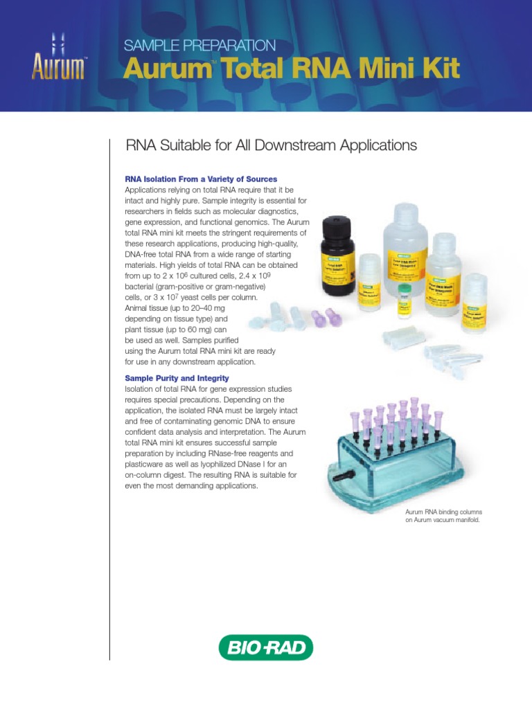 Aurum Total RNA Mini Kit - Bulletin - 2920 PDF | Download Free PDF ...