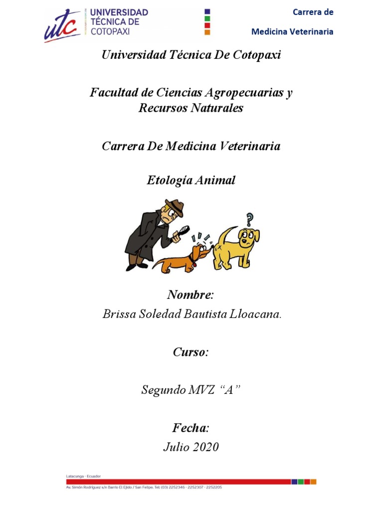 Comportamiento Canino | PDF | Perros | Etología