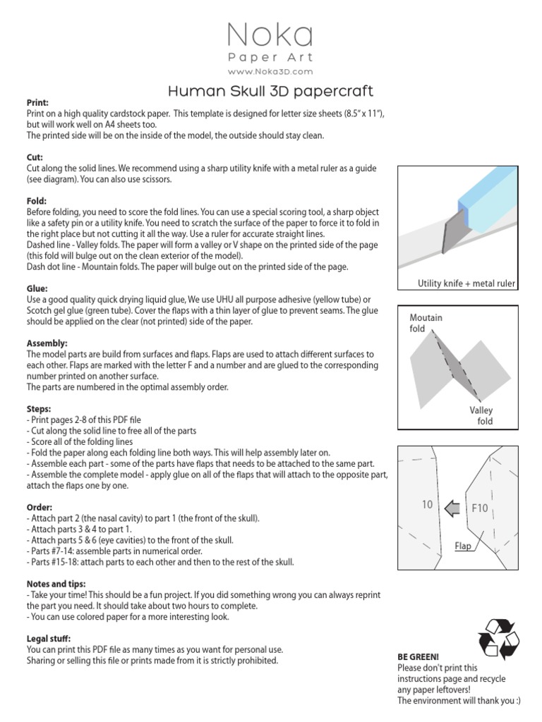 Human Skull 3D Papercraft: Paper Art | PDF | Adhesive | Conservation ...