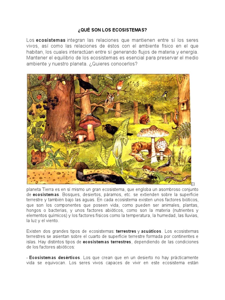 Qué Son Los Ecosistemas | Descargar gratis PDF | Ecosistema | Organismos